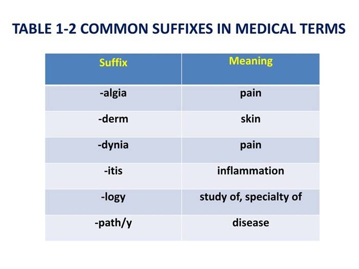 Dynia Medical Term Meaning Uses And Examples Explained Clearly